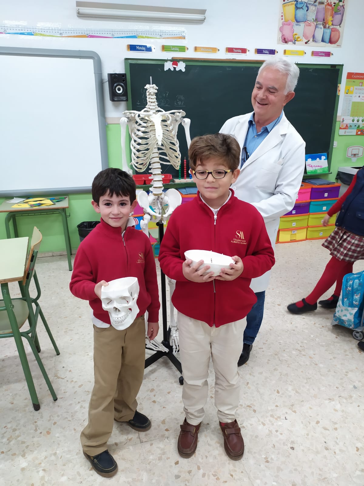 2º de primaria aprende los huesos con Pepe – Colegio San Alberto Magno
